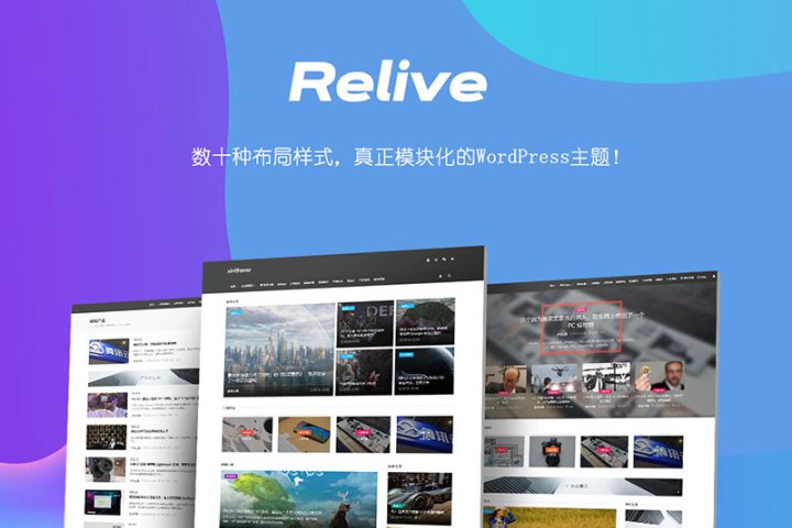 WordPress主题 Relive 3.1自媒体博客模块化WP主题模板 – 服务器导航网